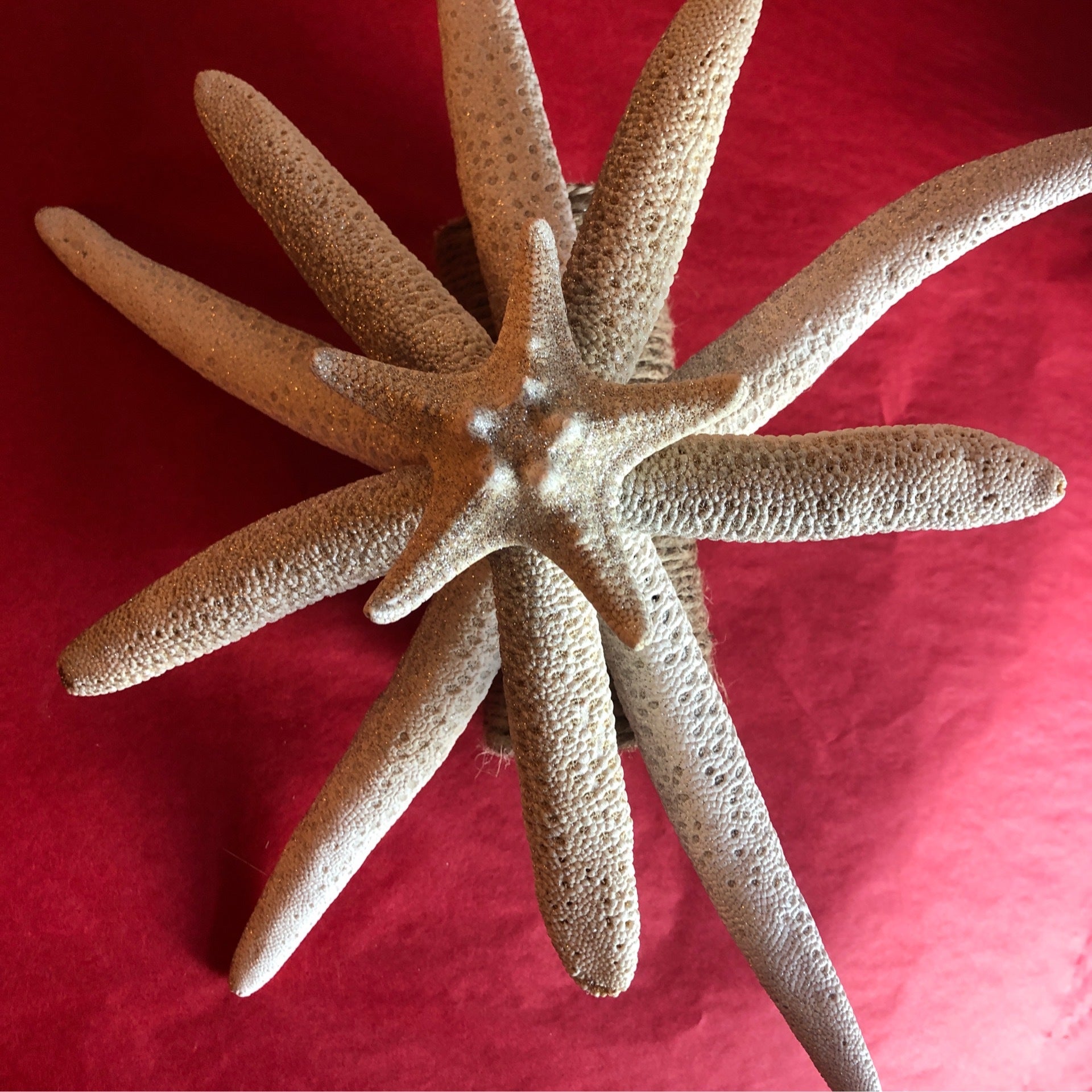 Shell tree topper | Perky Pelican Christmas Shoppe