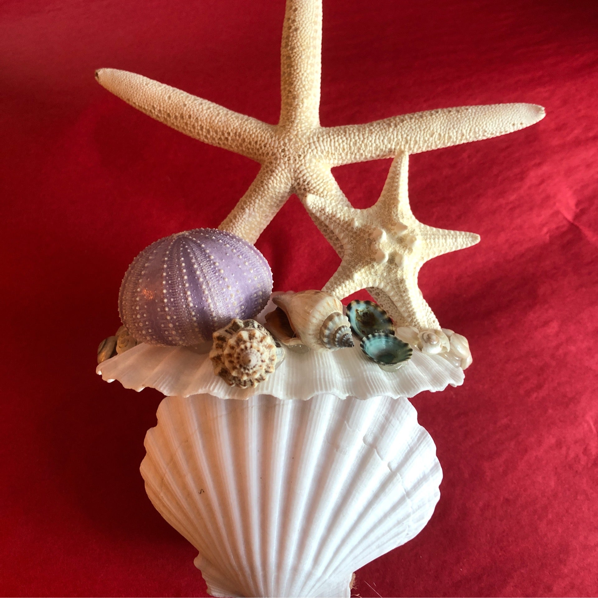 Shell tree topper | Perky Pelican Christmas Shoppe
